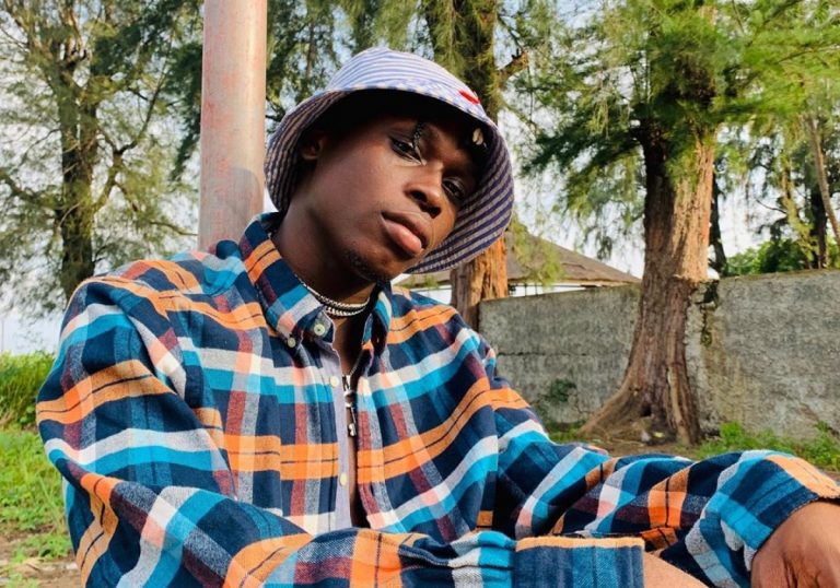 Fireboy DML Biography: Age, Net Worth, Profile & Videos | Biography Web