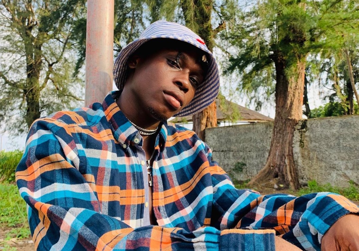 Fireboy DML Biography: Age, Net Worth, Profile & Videos | Biography Web