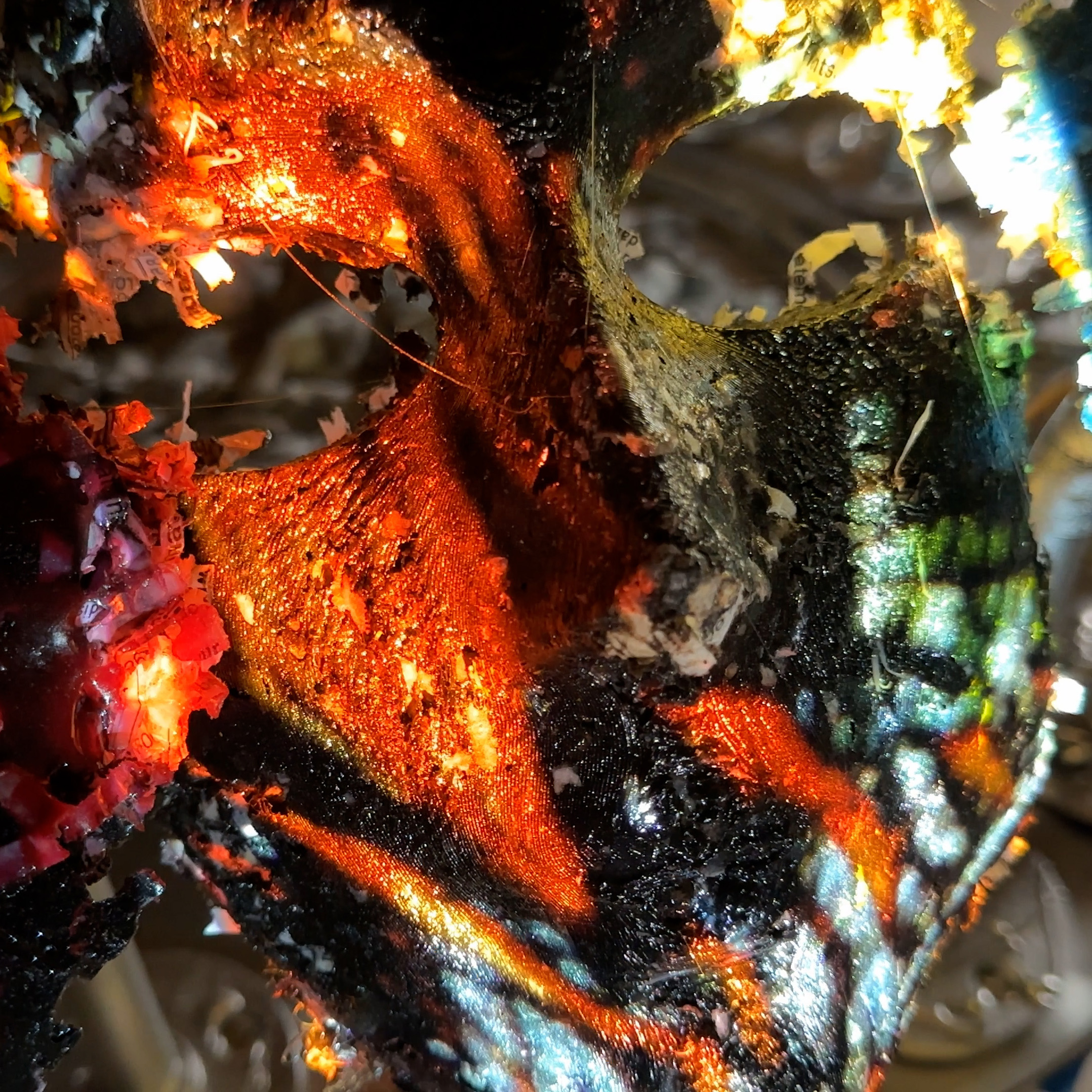 SEE FIRSTHAND HOW CARING FOR A PERSON WITH DEMENTIA IS IN COLLIN THOMAS ...