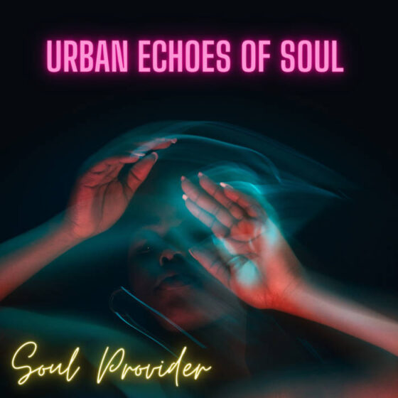 SOUL PROVIDER LIVES UP TO ITS NAME AND PROVIDES THE VERY BEST SOUL ...