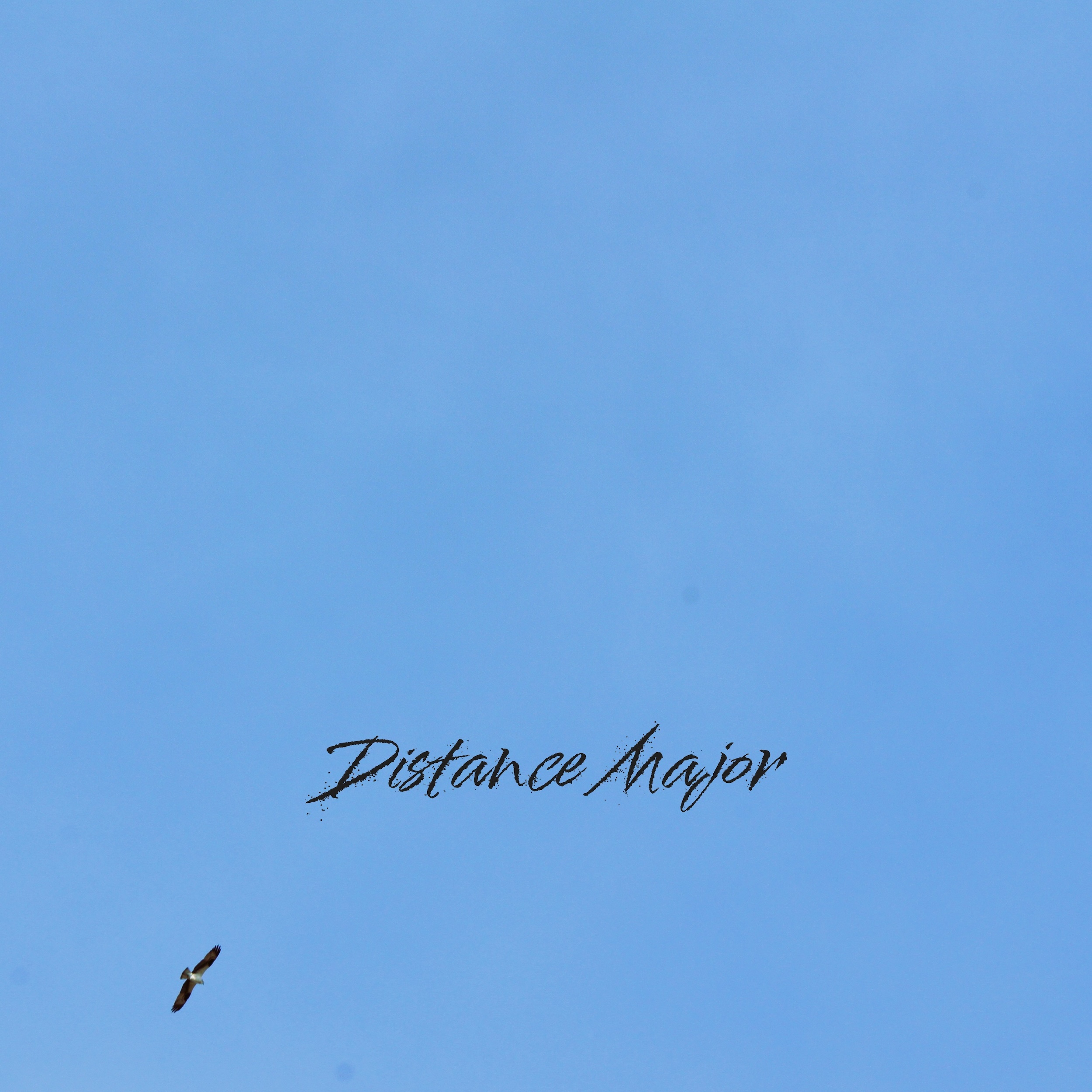 DISTANCE MAJOR DEBUTS WITH HIS SELF-TITLED ALBUM | Biography Web
